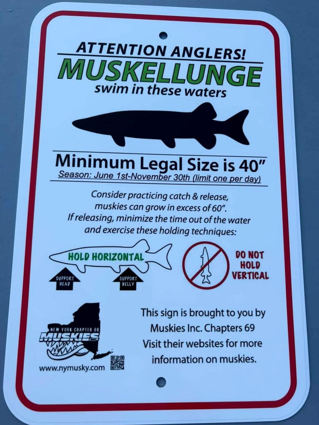 Musky anglers take note | News, Sports, Jobs - Observer Today